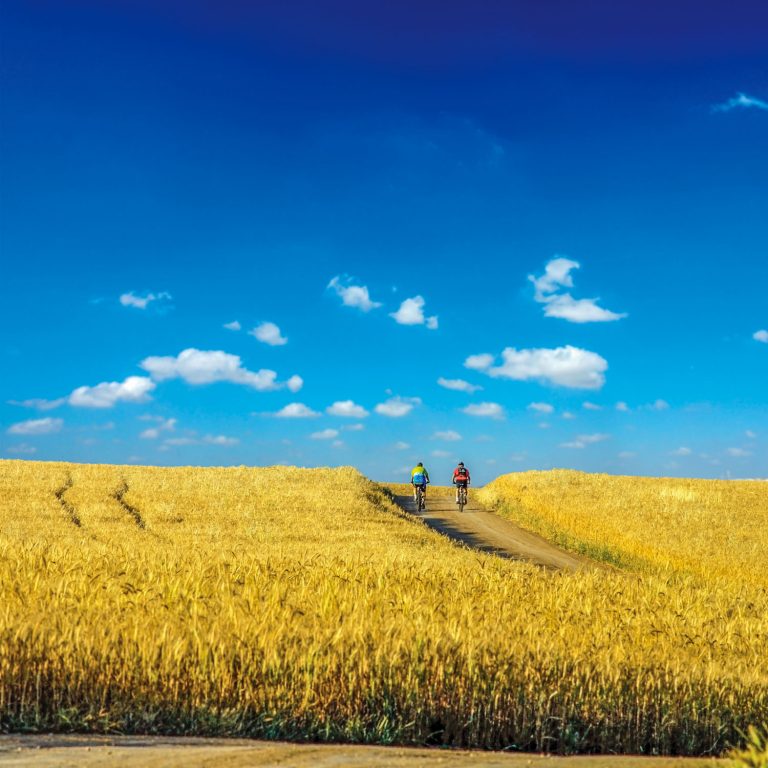 Furano: Explore the Beauty of Hokkaido